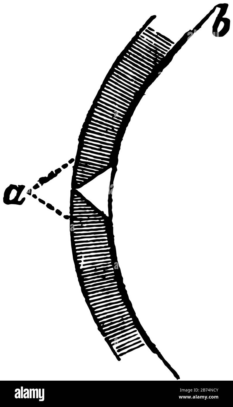 This illustration represents Eye Lid, vintage line drawing or engraving ...