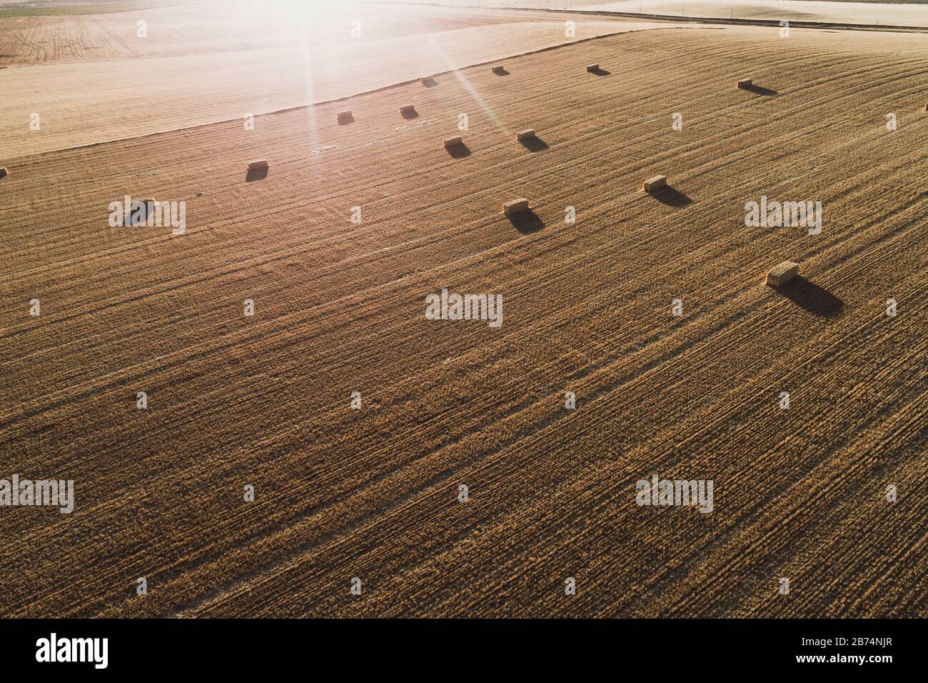 Dry wheat agricultural fields hi-res stock photography and images - Alamy