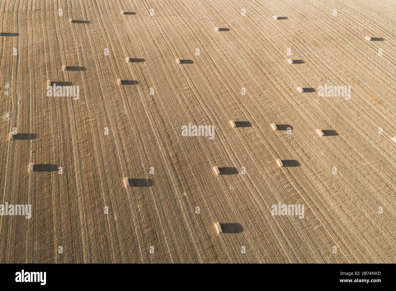 Dry wheat agricultural fields hi-res stock photography and images - Alamy
