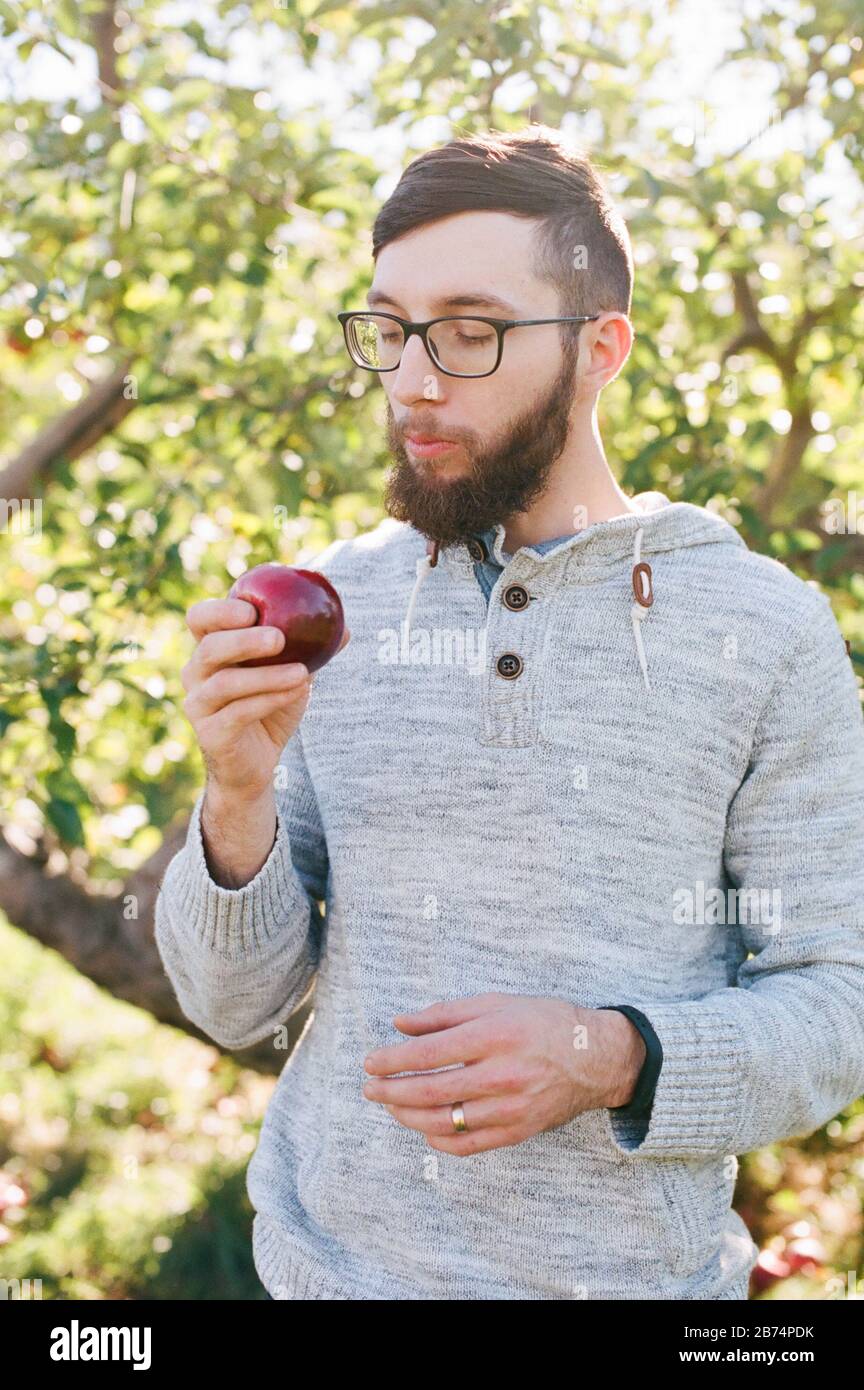 Biting apple orchard hi-res stock photography and images - Alamy