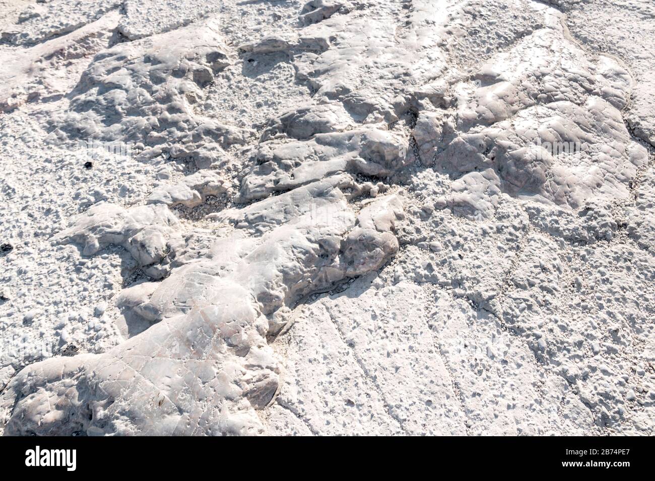 Natural shiny texture hi-res stock photography and images - Alamy