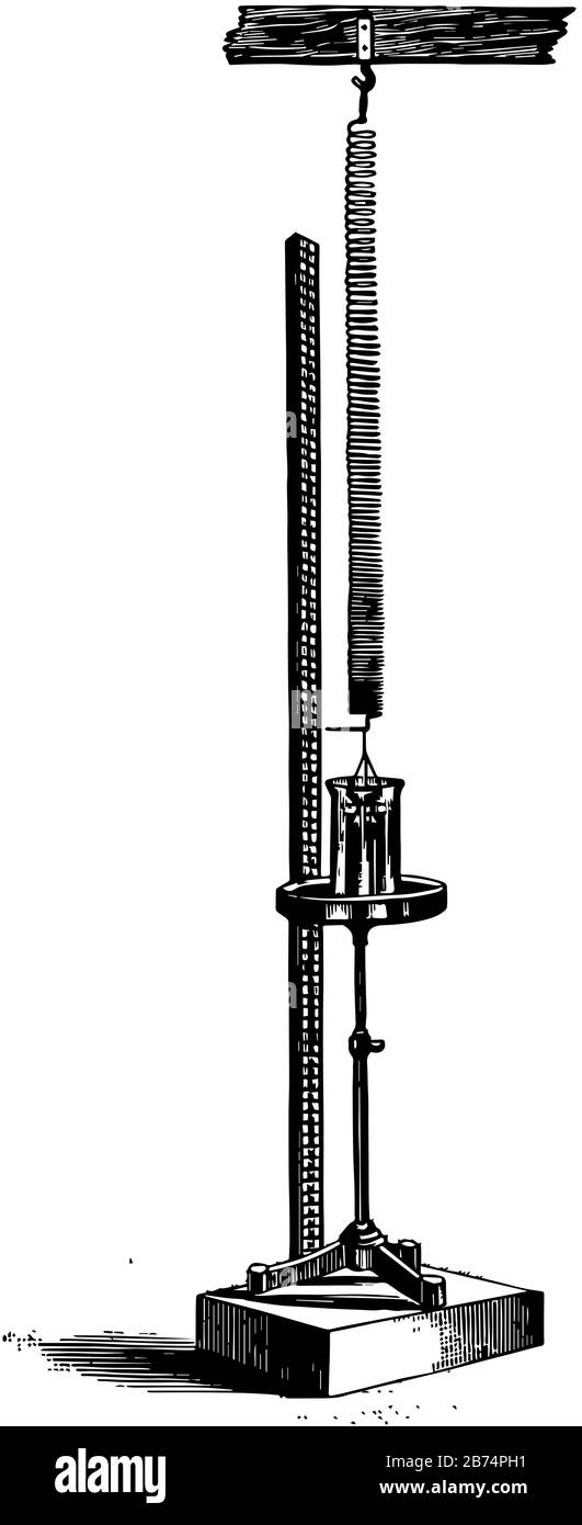 An apparatus designed to measure the elongation or contraction of a ...