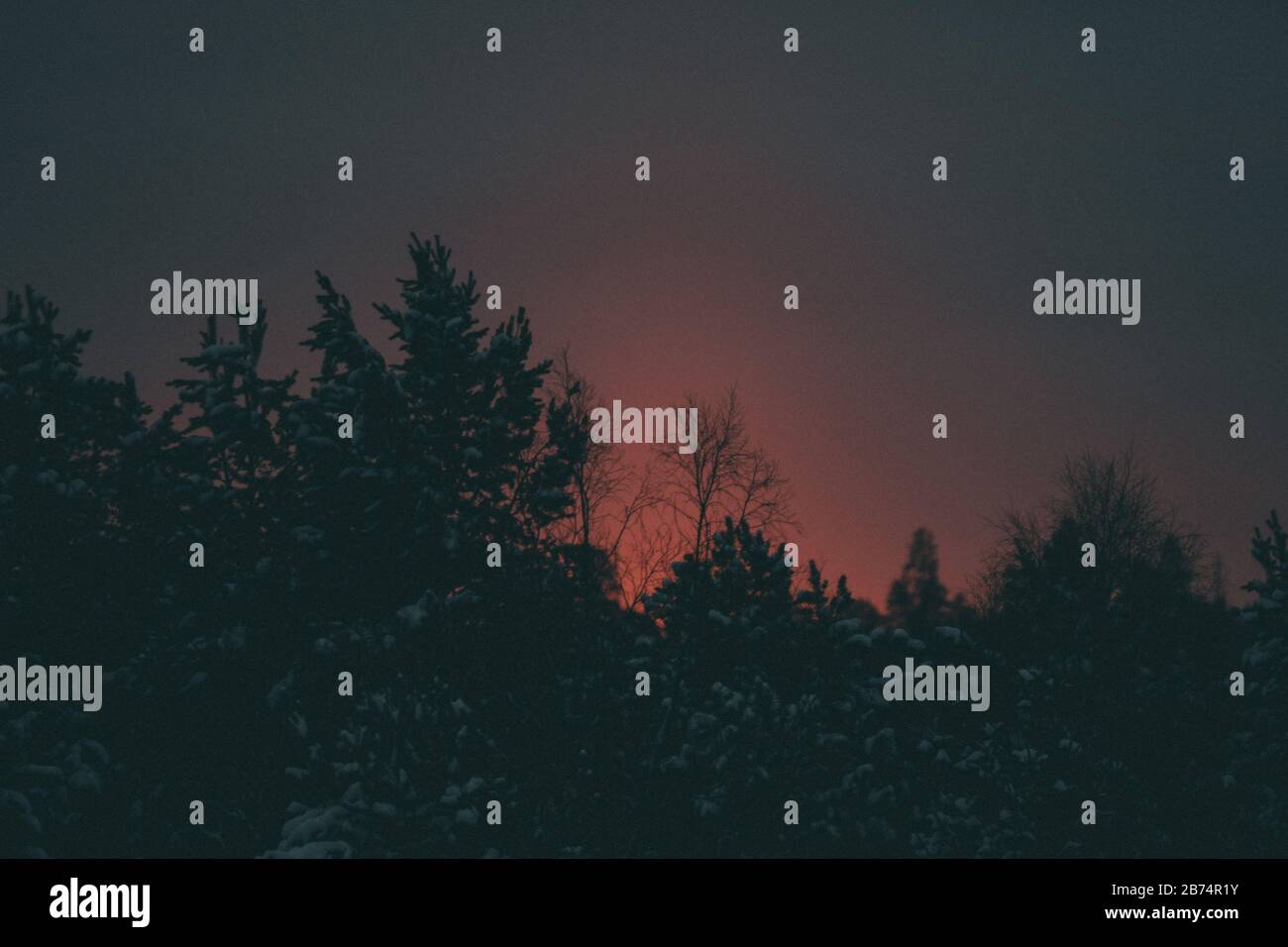 Beautiful landscape of a forest under the red sky - perfect for a ...