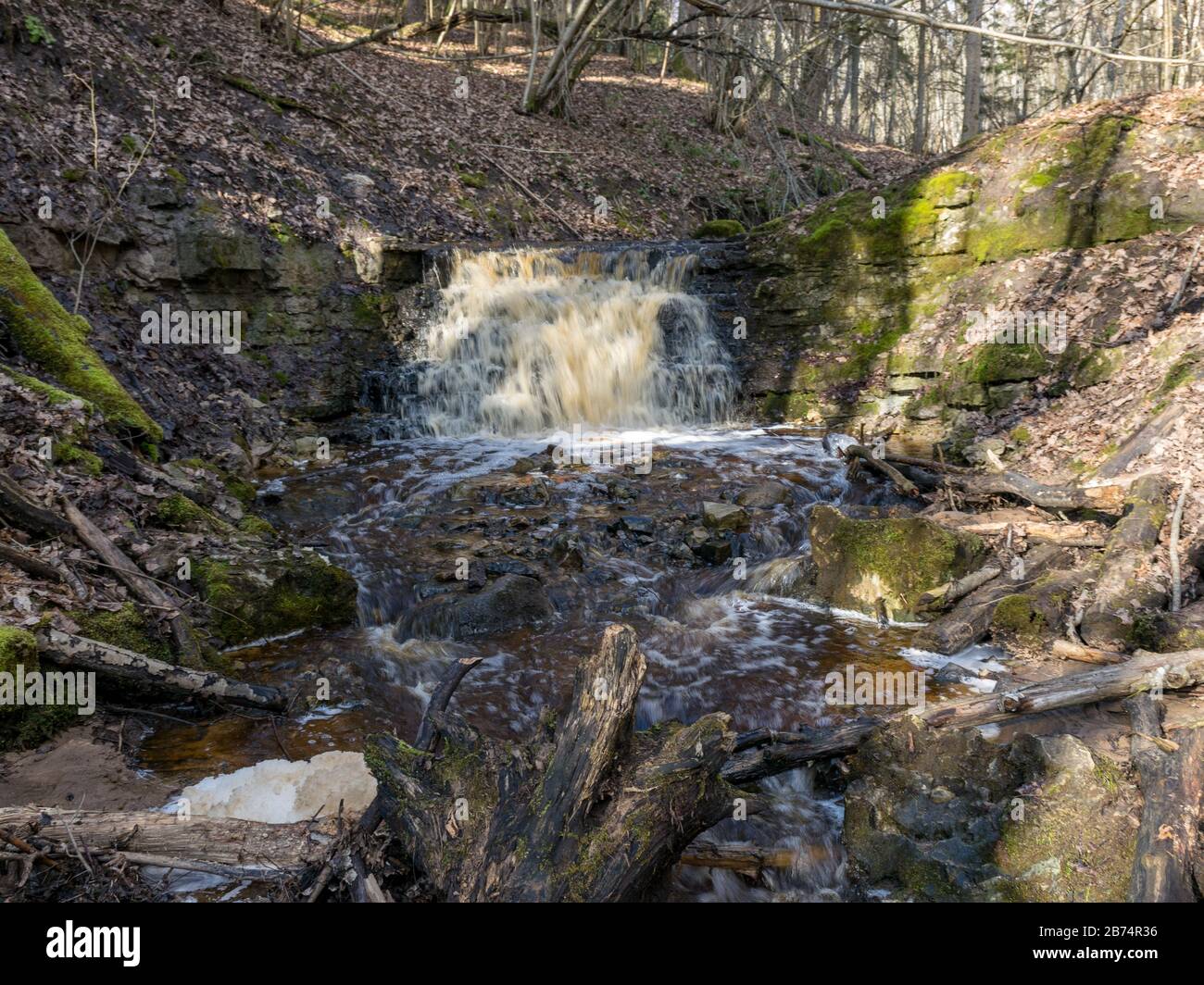 spring landscape with a small waterfall on a small wild river, small ...