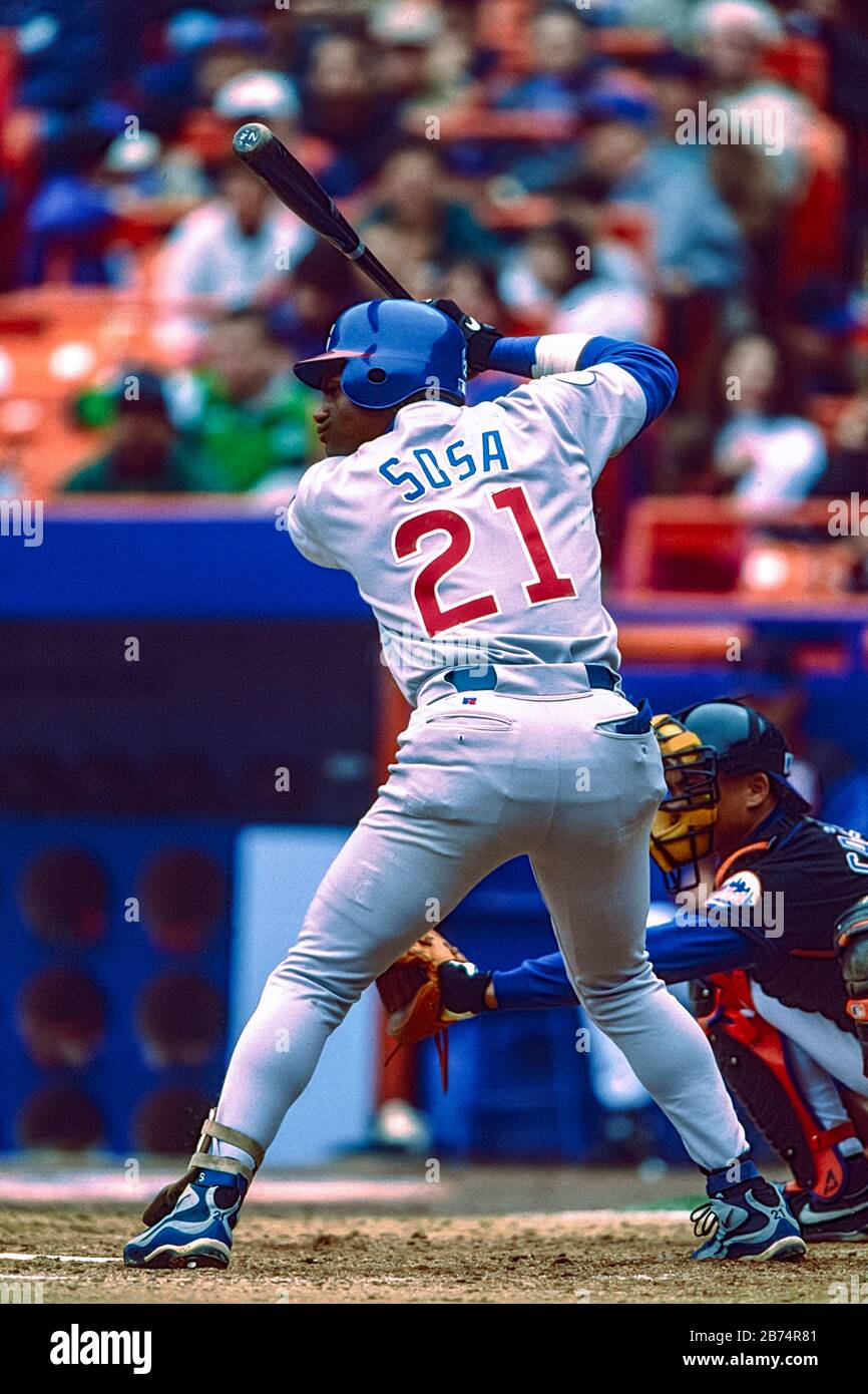 Sammy Sosa, Chicago Cubs during the record breaking season in 1998 ...