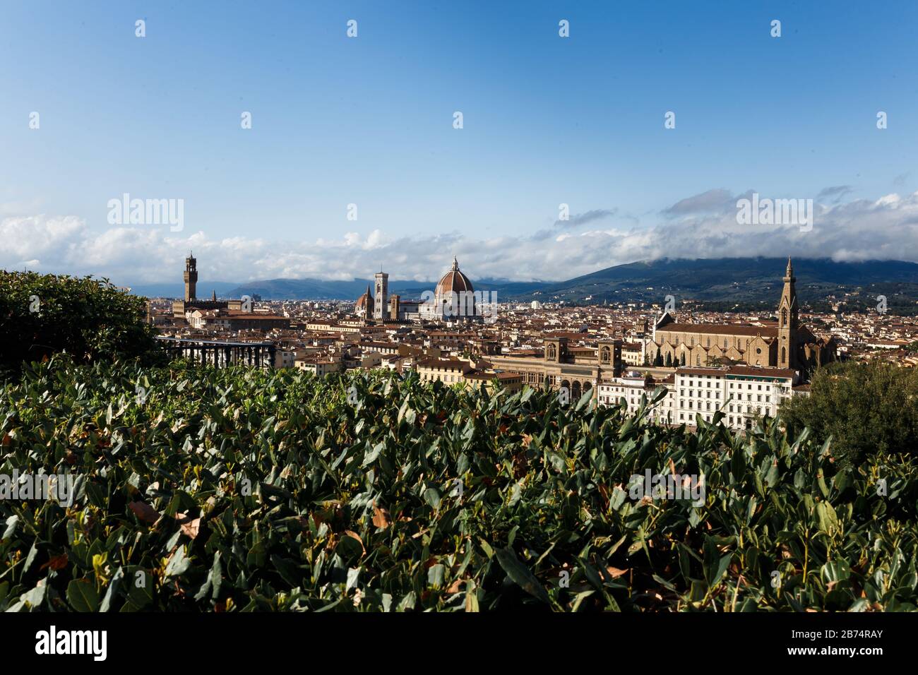 Panorama of Florence under the hot summer sun Stock Photo - Alamy