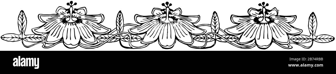 This Doodad design fill with the beautiful flowers, vintage line ...