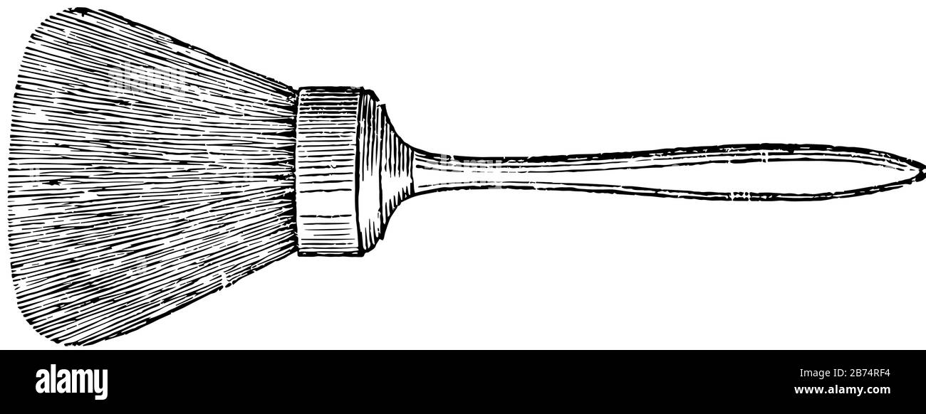 Painter's Duster has very long hairs, vintage line drawing or engraving ...
