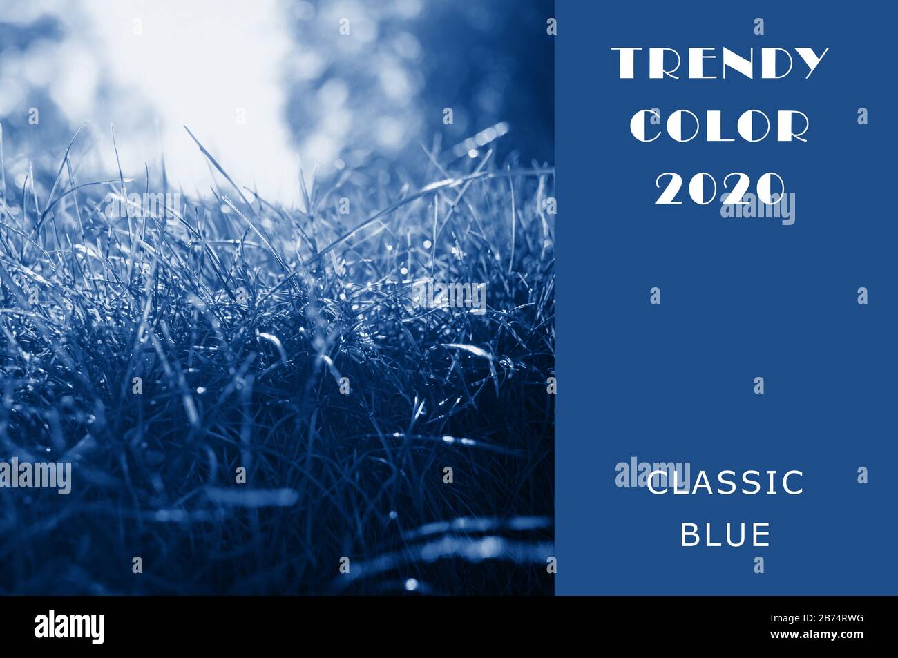 grass on a freshly cut lawn in classic blue. Juicy color tone in trendy ...