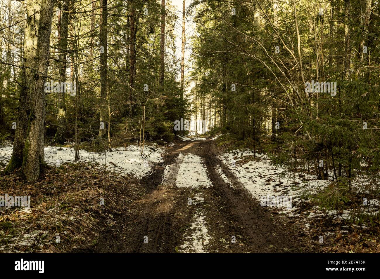 dirty mud road in winter with water on the road surface. sunny day with ...