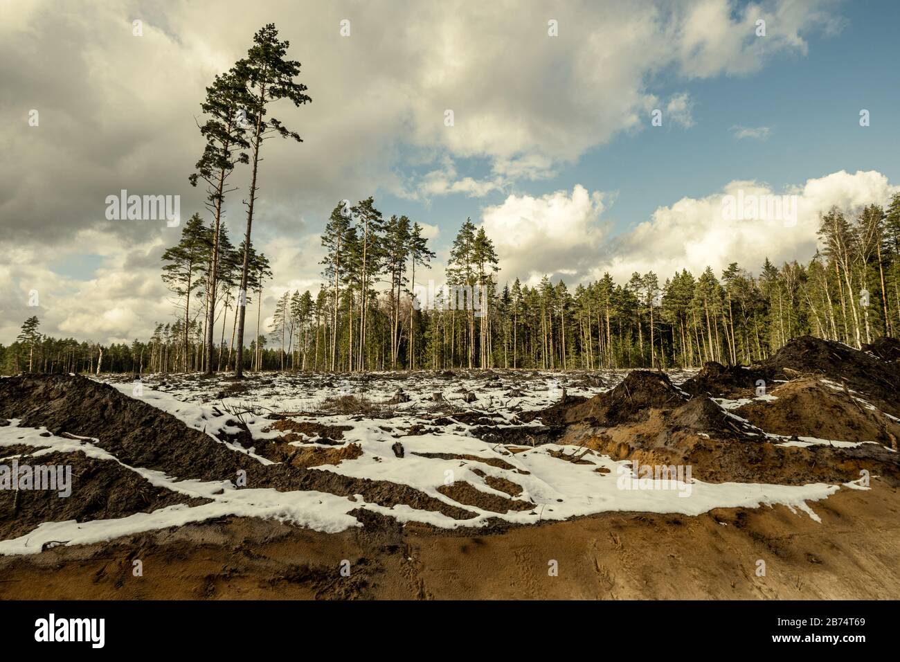 construction site of new road in forest in winter with snow and mud ...
