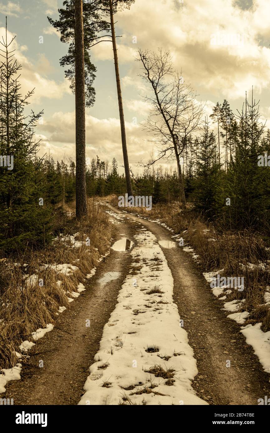 dirty mud road in winter with water on the road surface. sunny day with ...