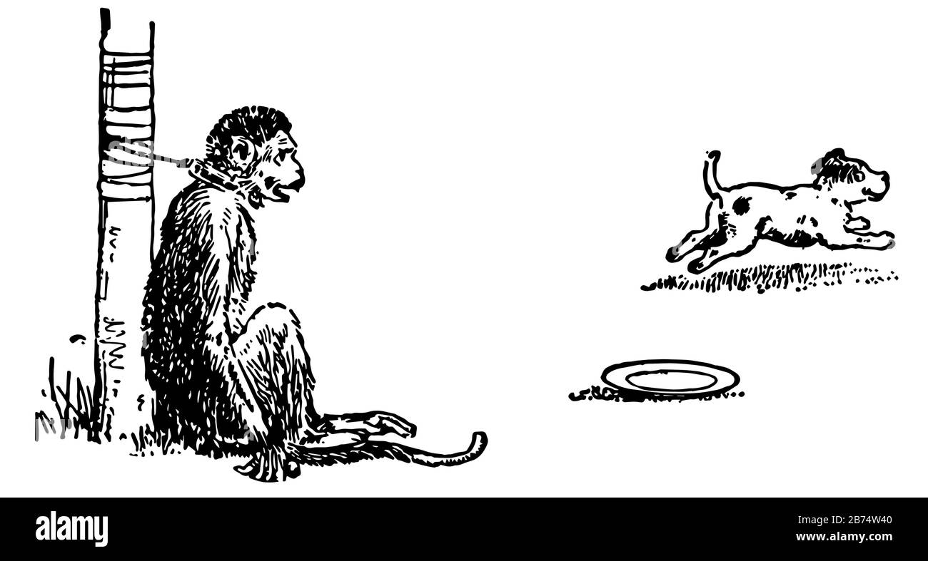 O tied Stock Vector Images - Alamy