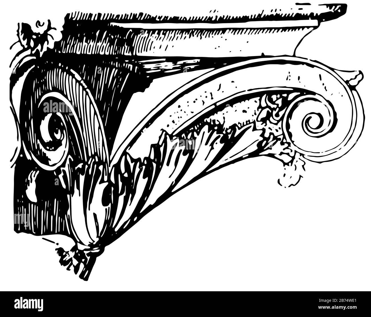 Capital, Corinthian, volutes, circular, shaft, convex, vintage line ...