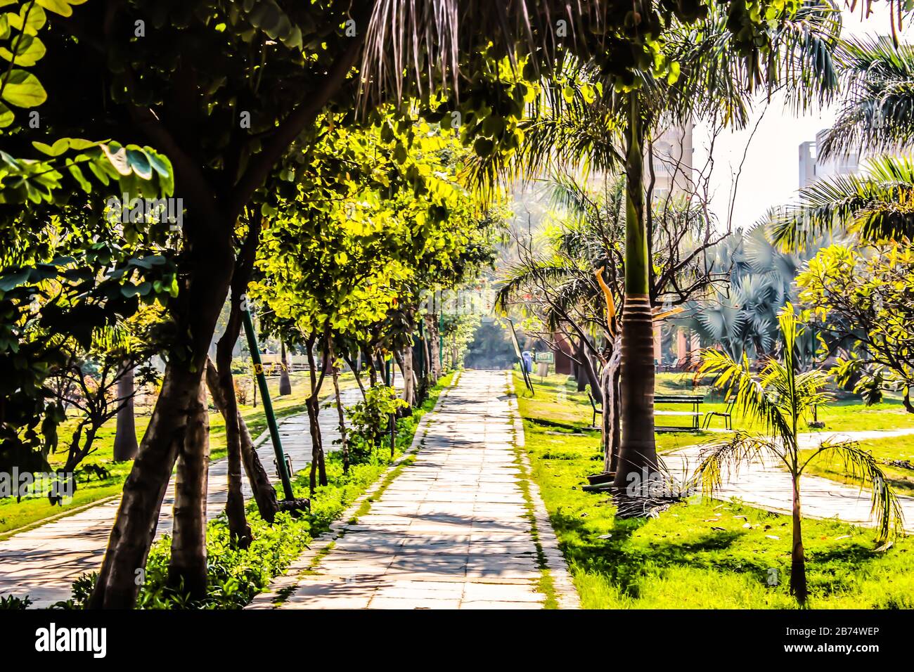 Park with tropical trees during daytime Stock Photo - Alamy