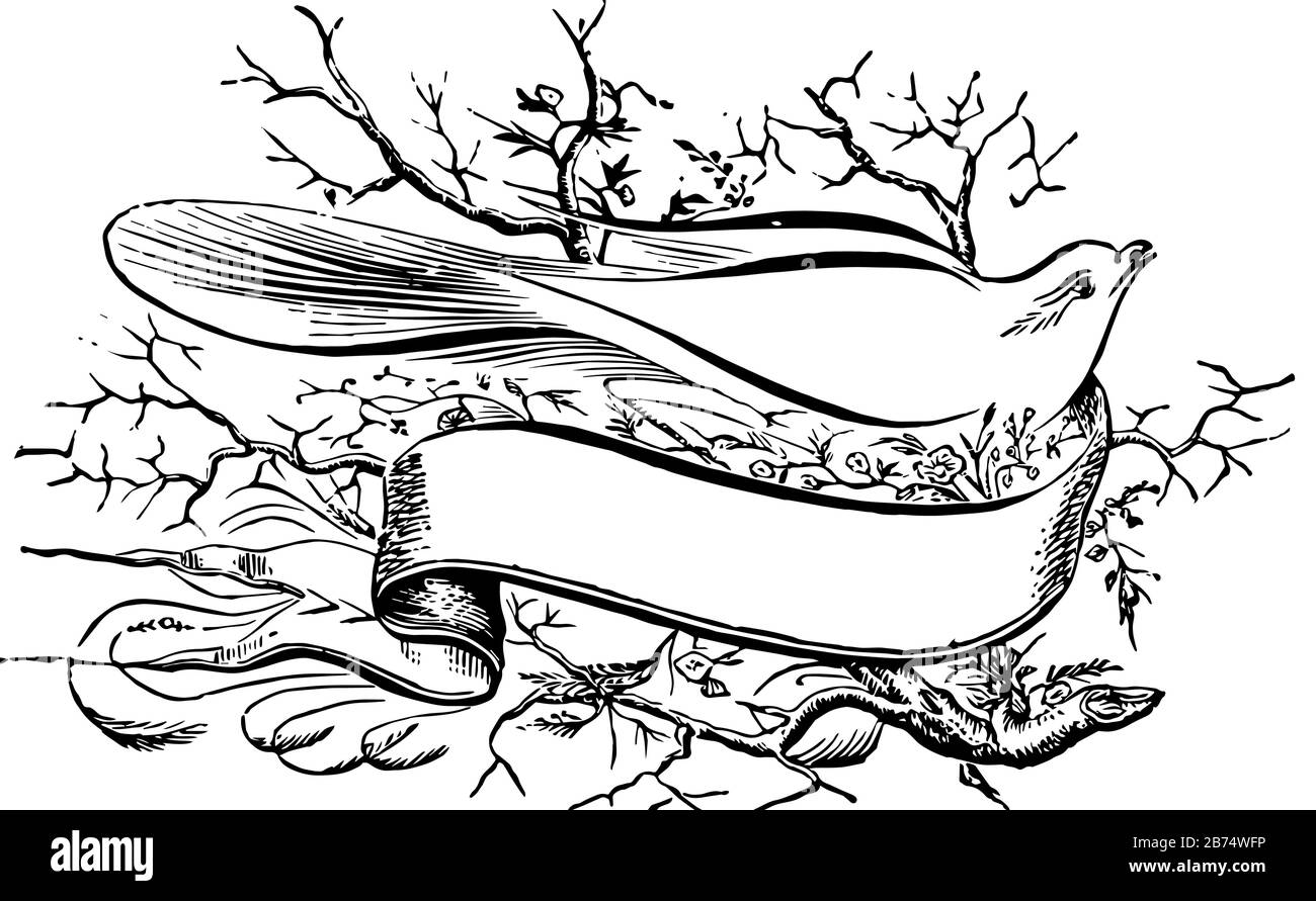 Filigree Frame Drawing