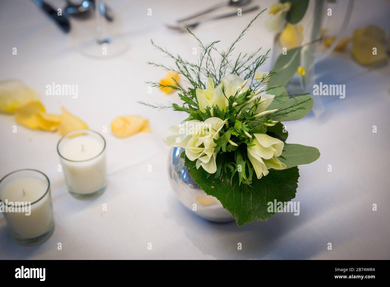 Fine floral border hi-res stock photography and images - Alamy