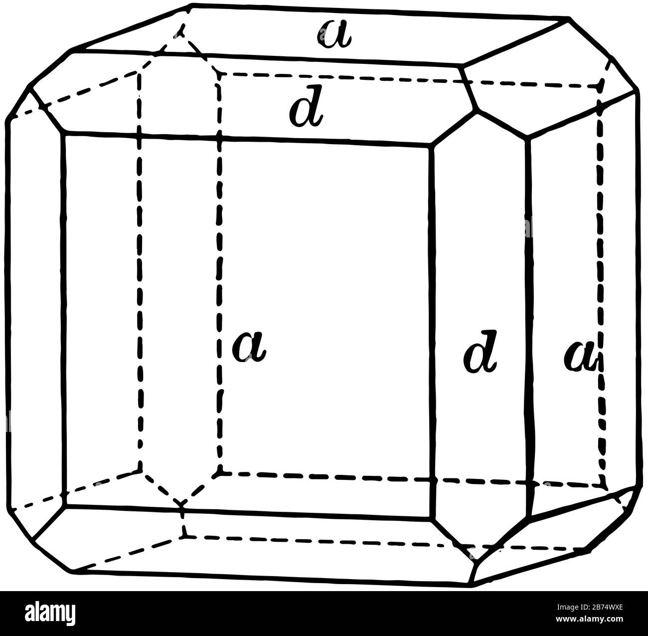 This diagram represents Cube and dodecahedron, vintage line drawing or ...