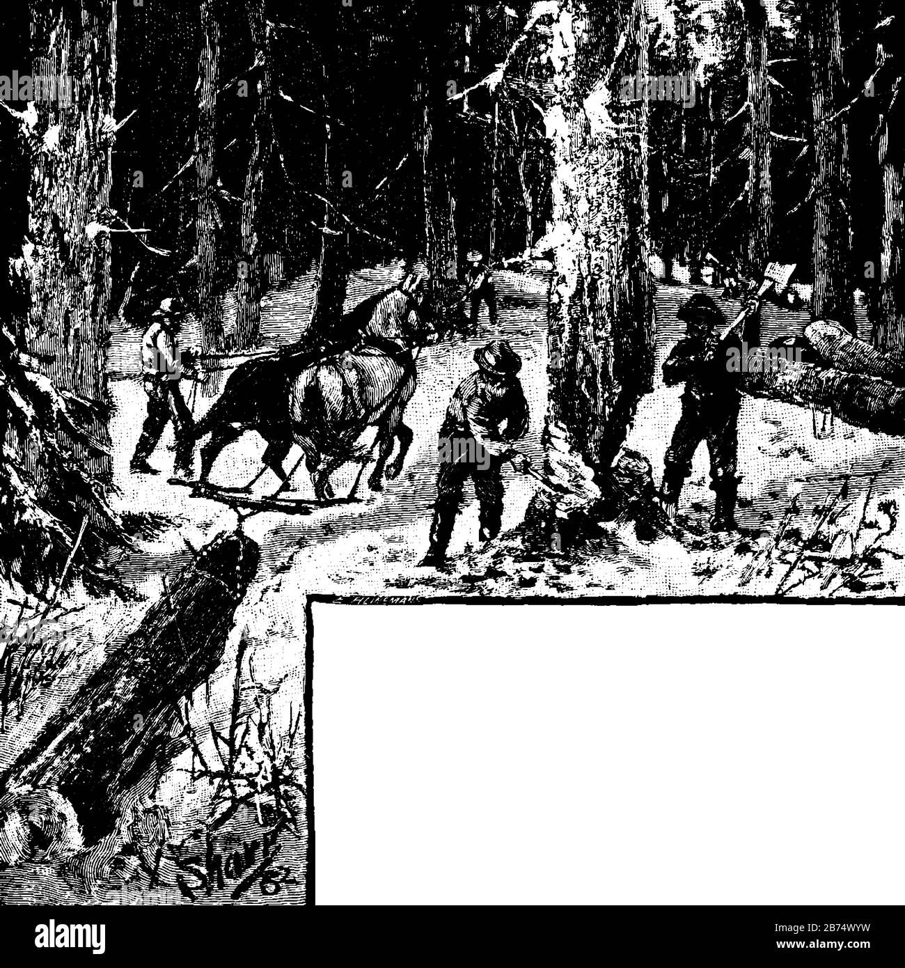 This illustration represents Tree Cutters, vintage line drawing or ...