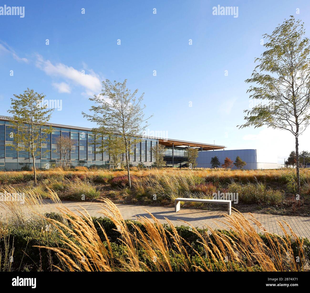 Landscaping with pedestrian walkways and building facade beyond. Jaguar ...