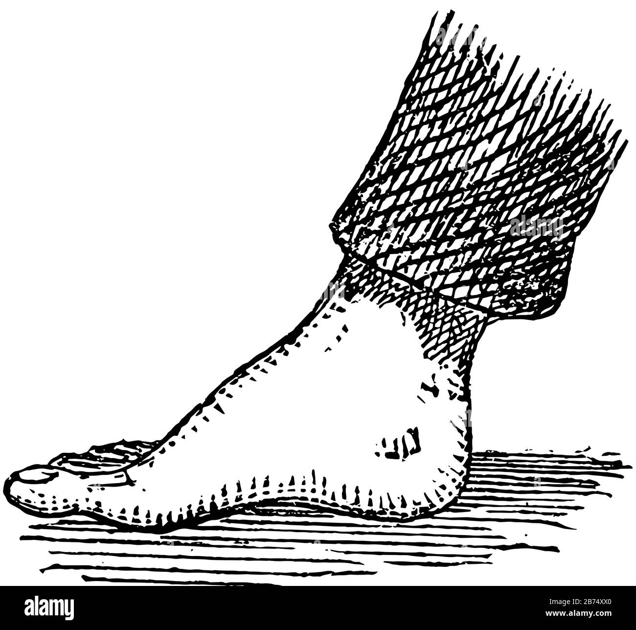 The part of the leg below the ankle, vintage line drawing or engraving ...