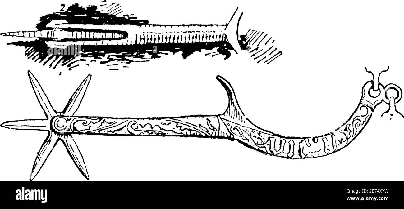 This illustration represents Rowel Spur having a rowel of several ...