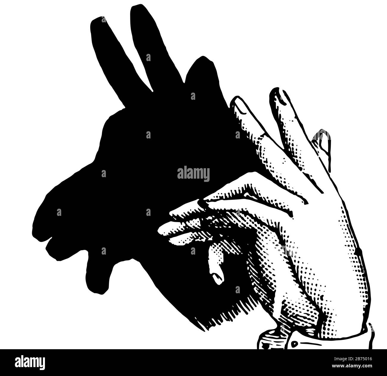 This picture represents Hand-shadow of Goat, vintage line drawing or ...