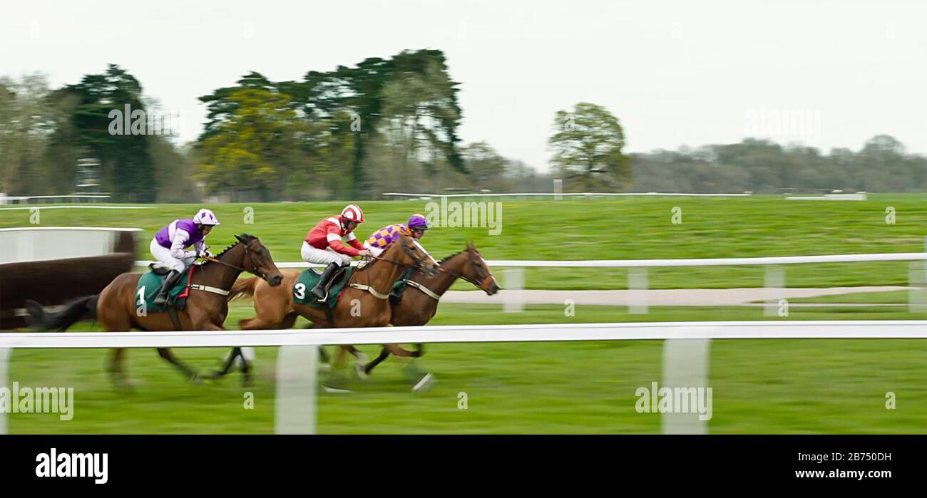Horse racing film hi-res stock photography and images - Alamy