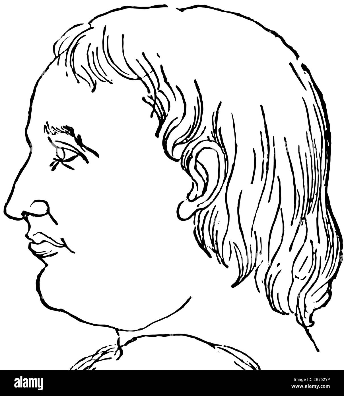 Face turned to the side in this picture, vintage line drawing or ...