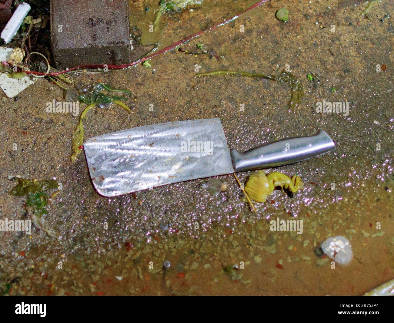 2019 prince edward station attack hi-res stock photography and images ...
