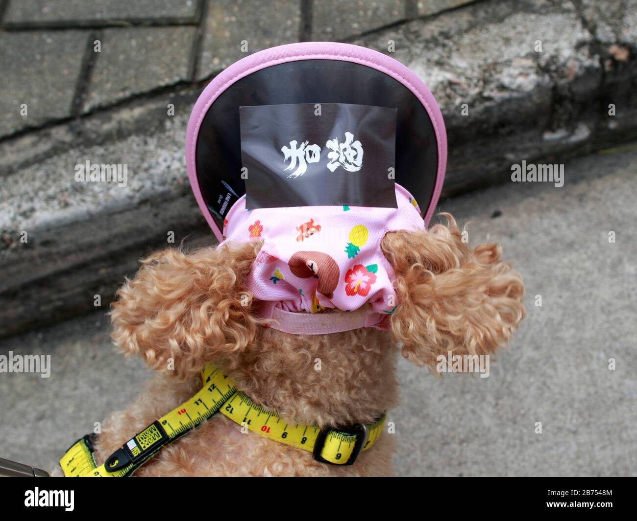 Kung tong hi-res stock photography and images - Alamy