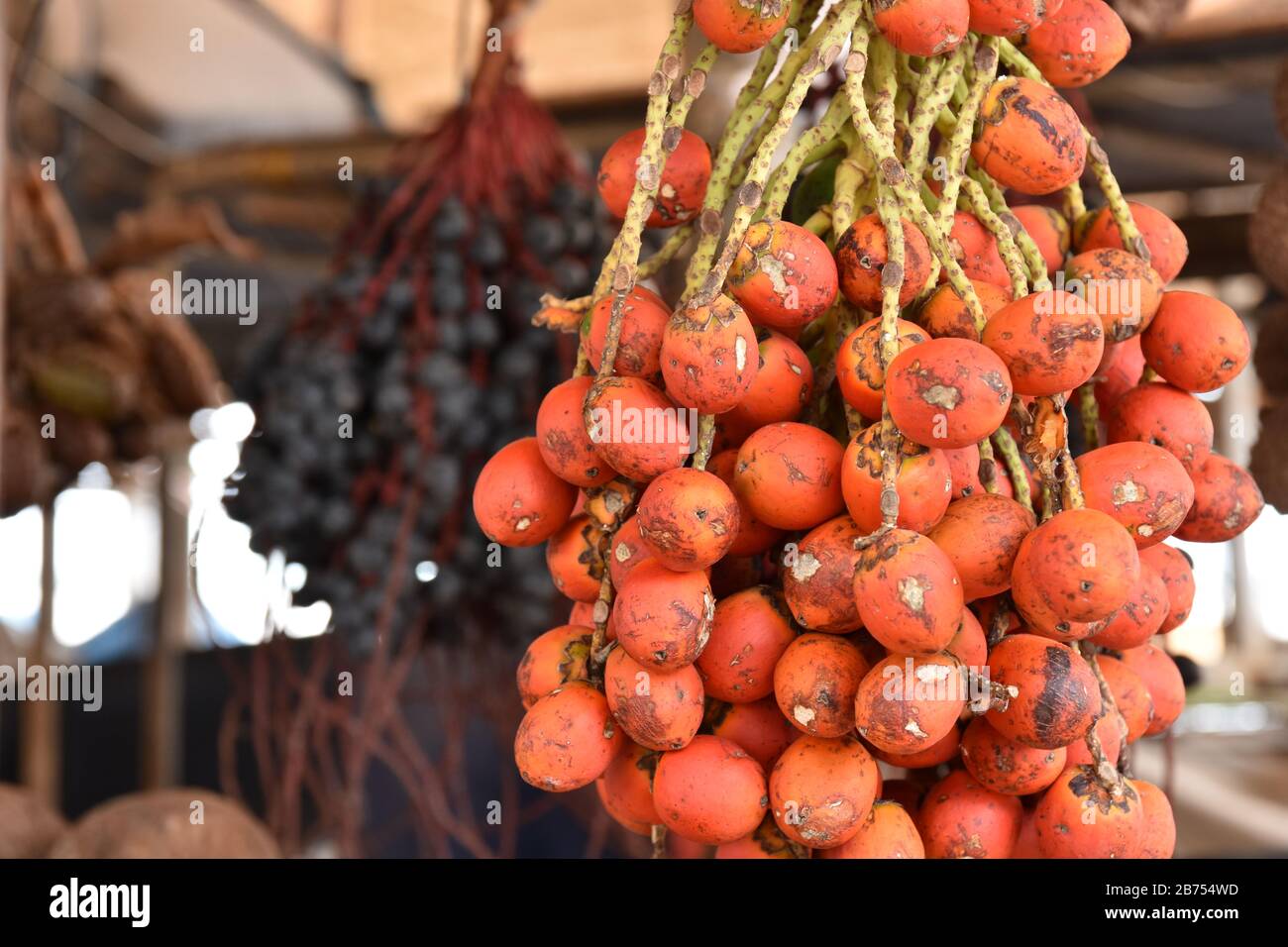 Amazon fruits at Ver-O-Peso market in Belém Stock Photo - Alamy