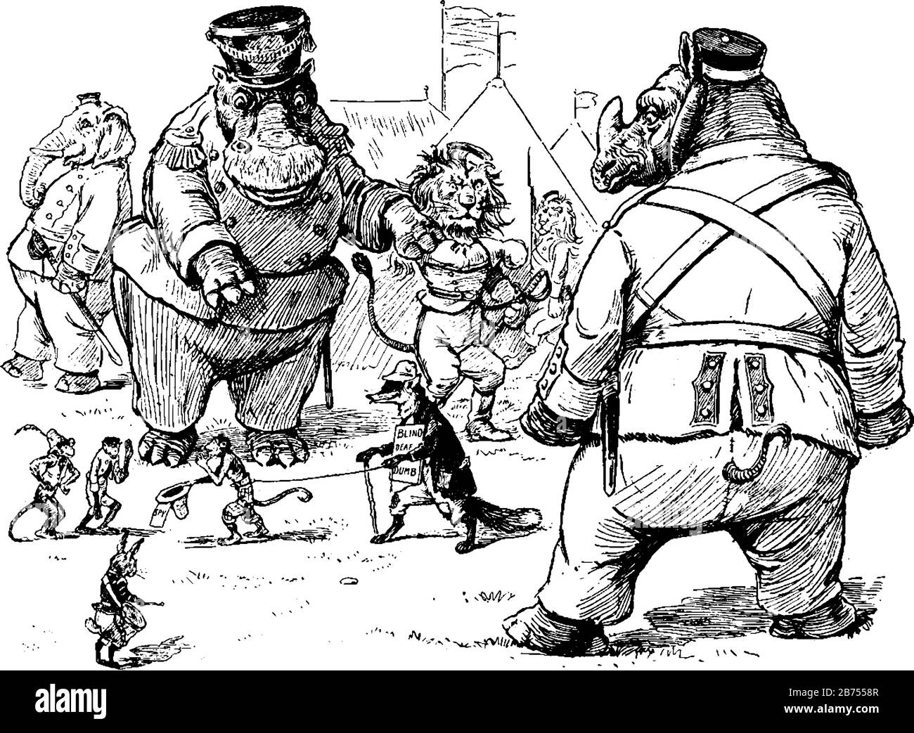 Spy on animals Cut Out Stock Images & Pictures - Alamy