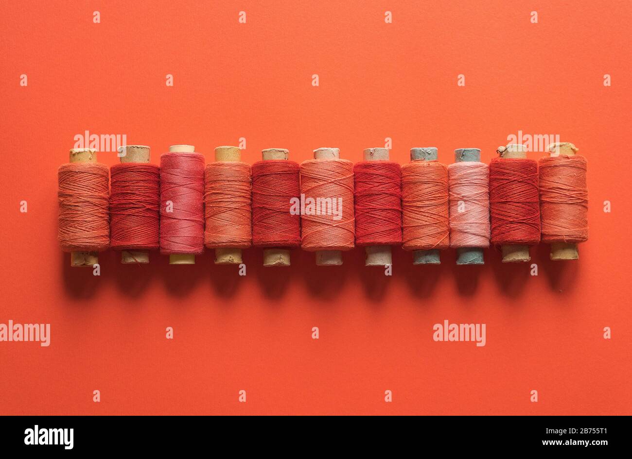 A coral spool of threads on coral paper background, with copy space ...