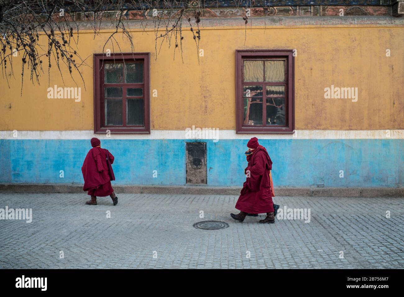 Young monks at Gandan Monastery in Ulan Bator. Buddhism is a widespread ...