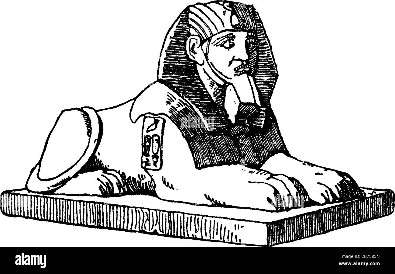 Crouching Sphinx sculpture in the Louvre, vintage line drawing or ...