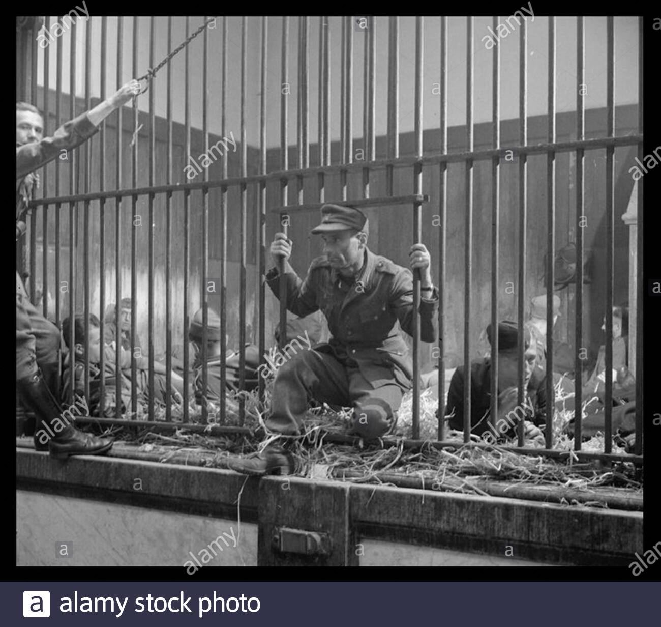 Cage Falling High Resolution Stock Photography and Images - Alamy