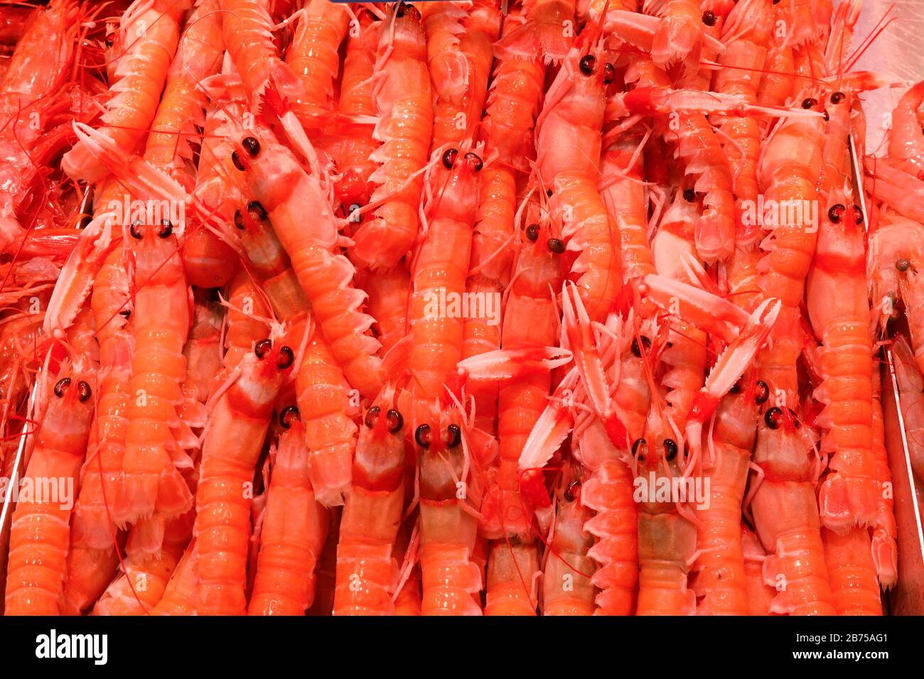 Fresh red prawns are on sale in the fish market of Malaga, on 12.02. ...