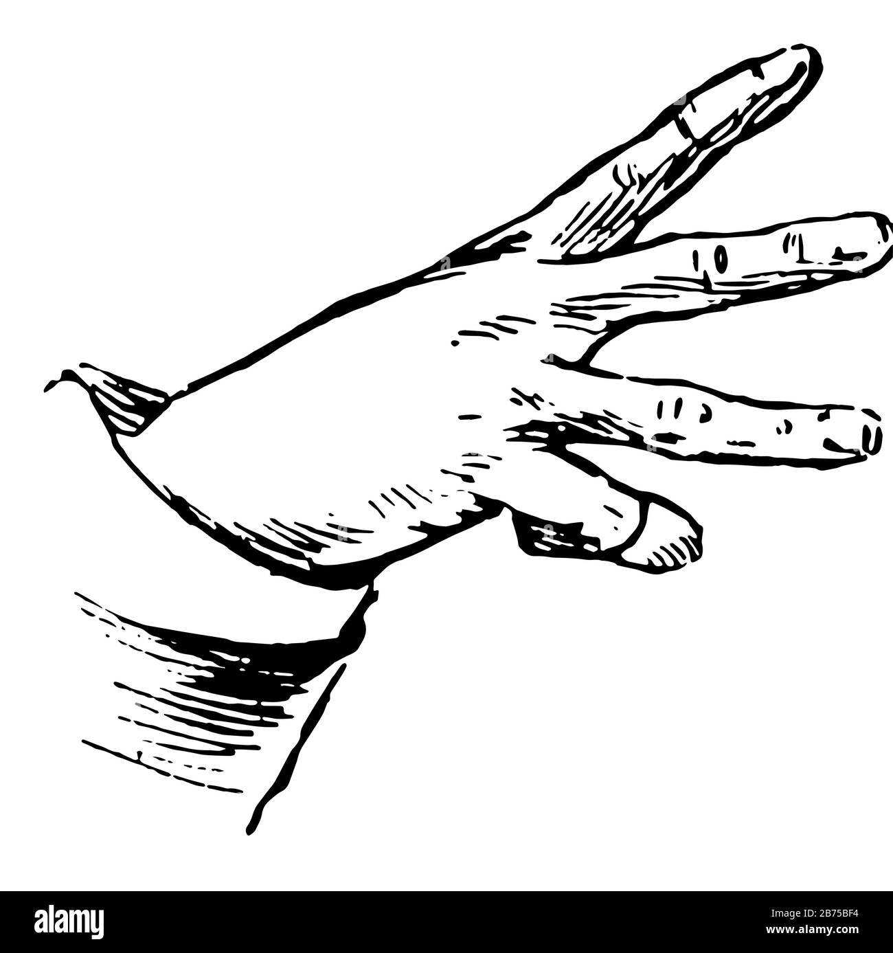 Board of Trade sign language for I will buy 30 shares, vintage line ...