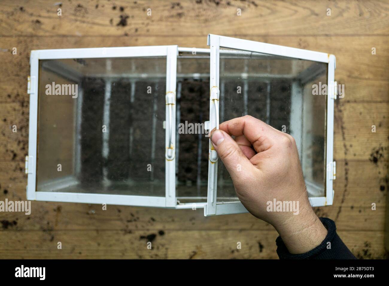 Small greenhouse on a windowsill, ready for cultivation Stock Photo - Alamy