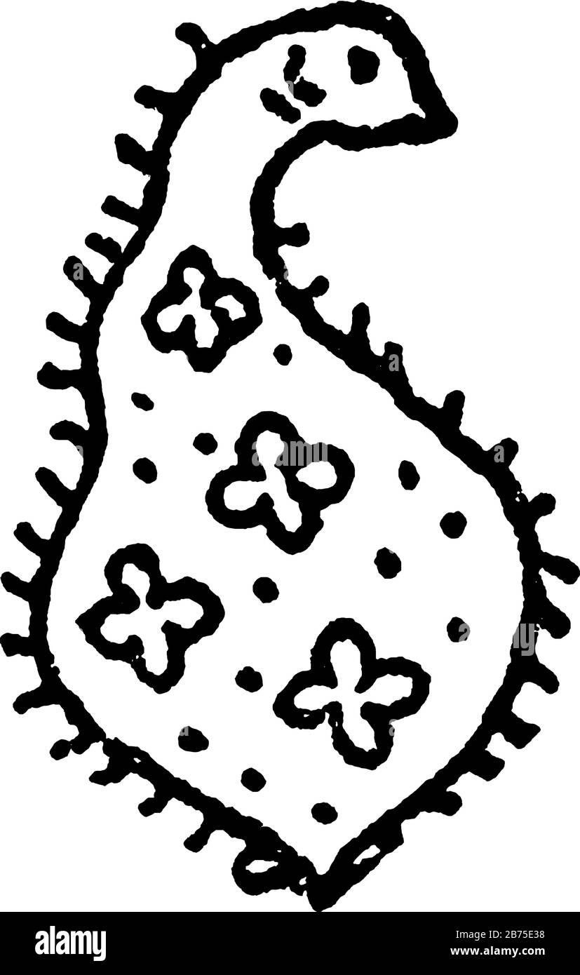 Rooster choicest rugs in order to avert the evil eye, its crowing cock ...