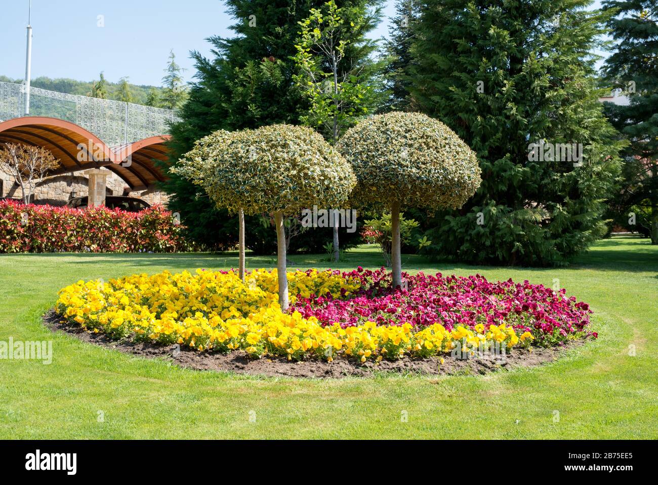 View of an attractive backyard with blooming flowers, conifers and well ...
