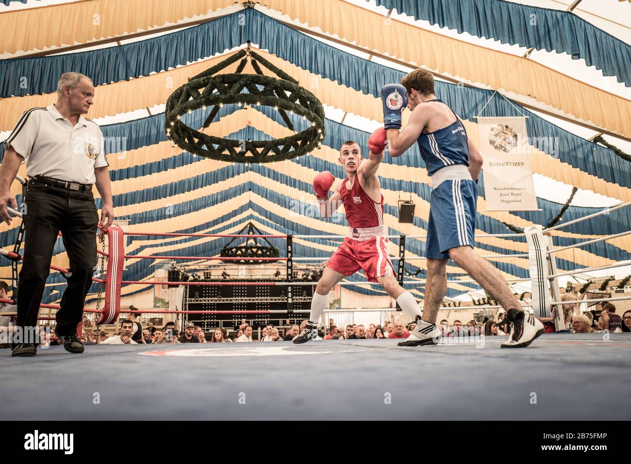 Dultboxing in Deggendorf: In a comparison fighters of the Box-Club ...
