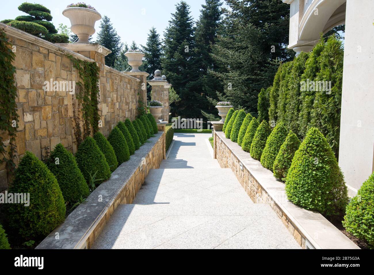 Boxwood front yard hi-res stock photography and images - Alamy