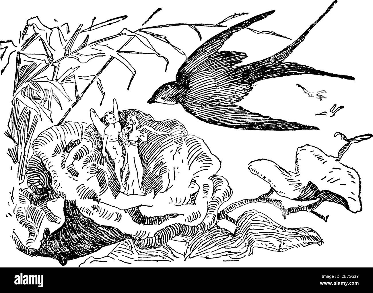 A bird looking at an angel and female inside the flower, vintage line ...