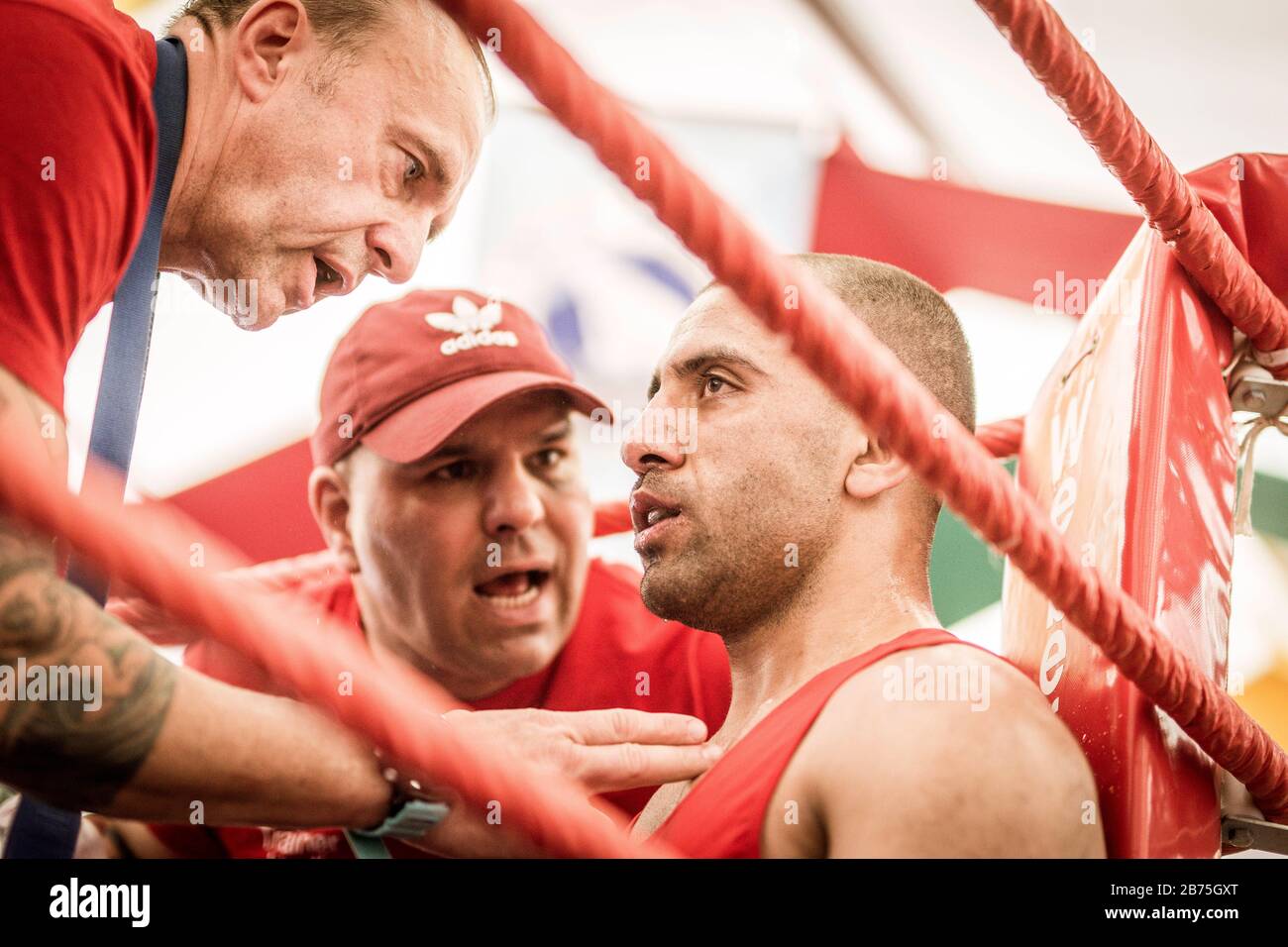 Boxing match TUS 1860 Pfarrkirchen against Boxclub 1 FC Nürnberg on the ...