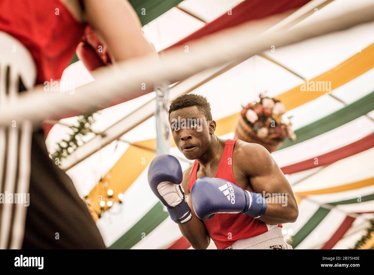 Boxing match TUS 1860 Pfarrkirchen against Boxclub 1 FC Nürnberg on the ...