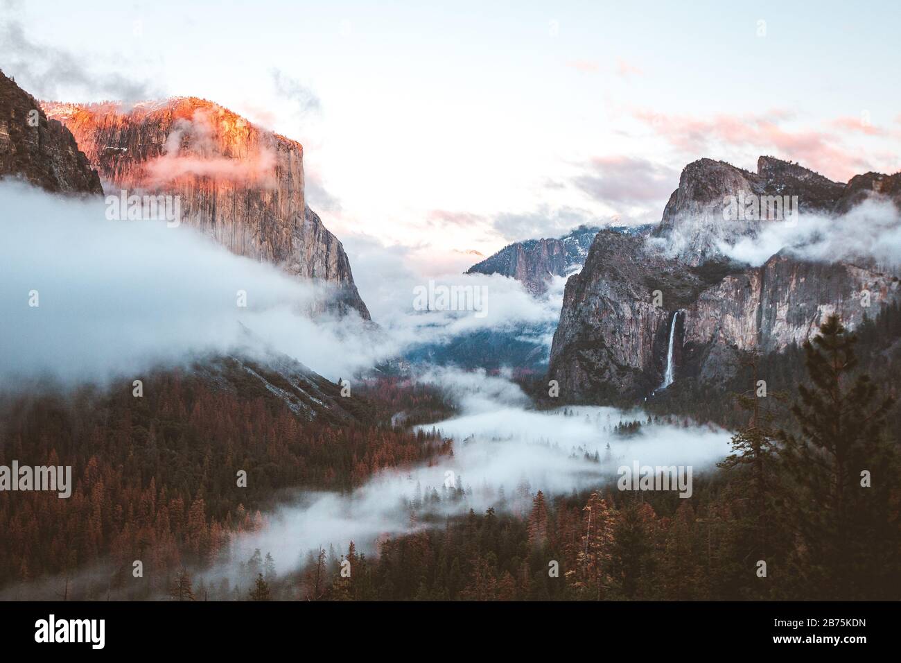 Floating tree hi-res stock photography and images - Alamy