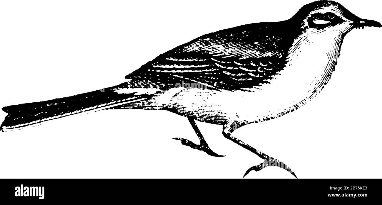 Vibratory motion Cut Out Stock Images & Pictures - Alamy