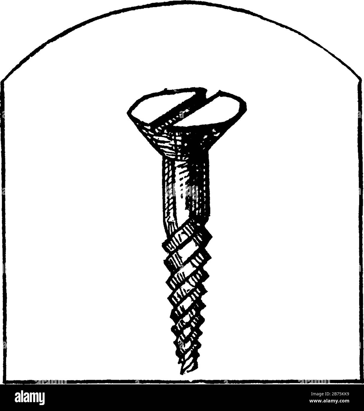 This illustration represents Screw which is made of iron, vintage line ...